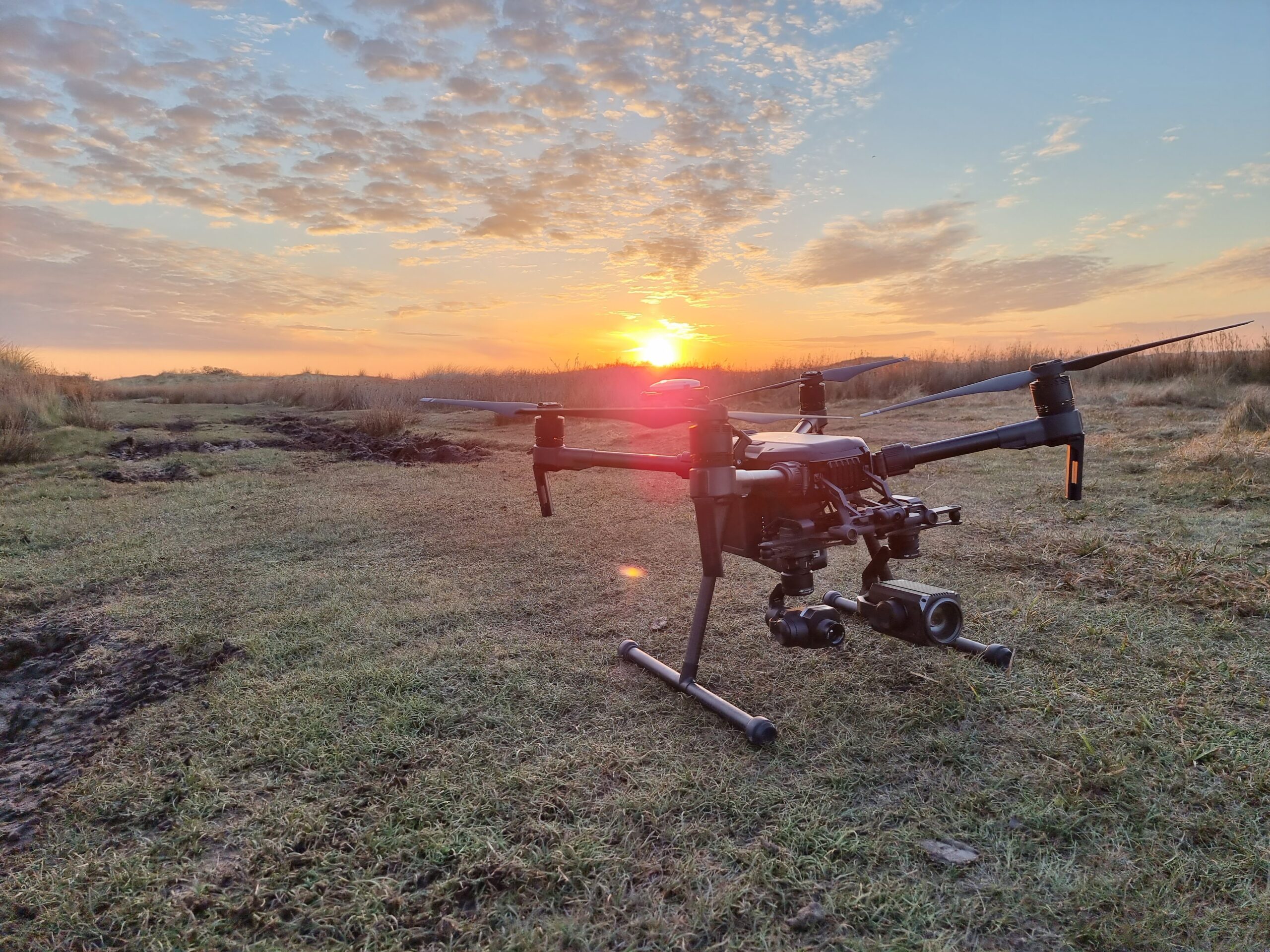 Duingras experimenten Schiermonnikoog - The Fieldwork Company